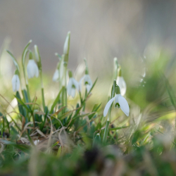„Suchst du das Höchste…?“ › Stephan Wunderlich Verlag
